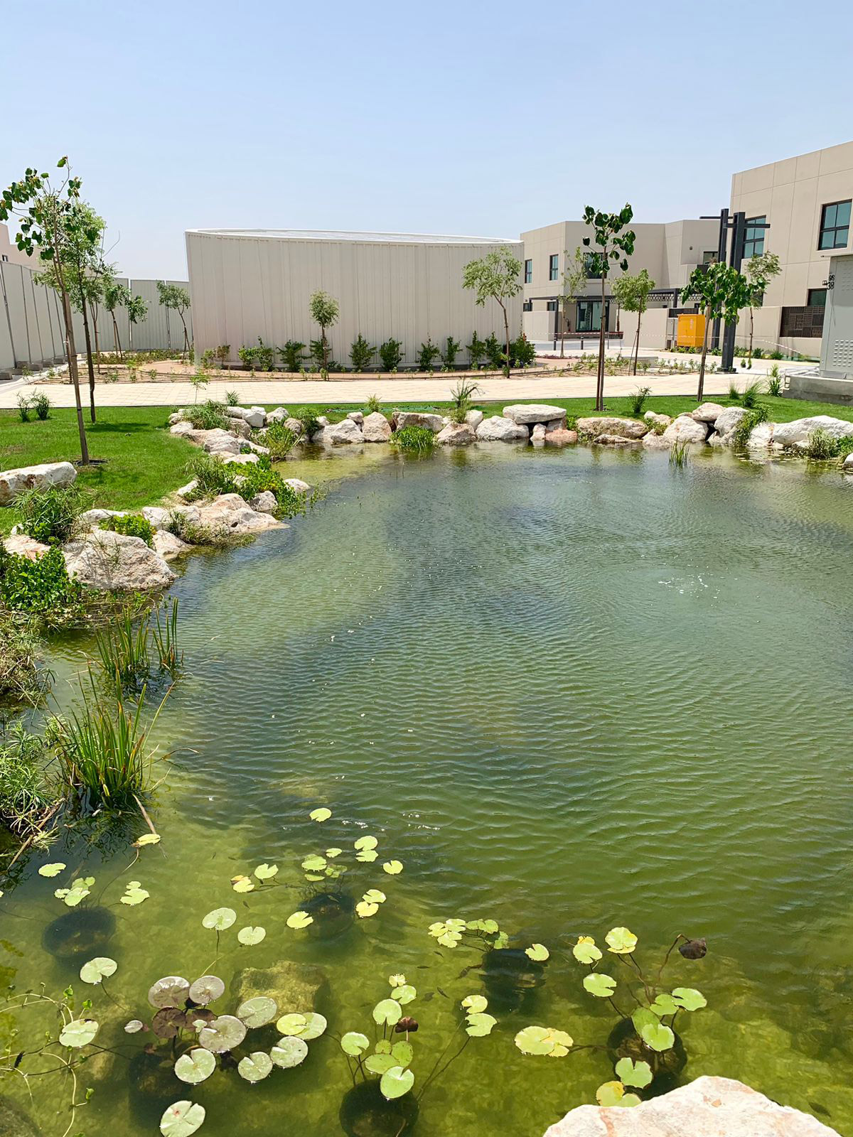 Natural Pond (BioSwale) in Sharjah Sustainable City